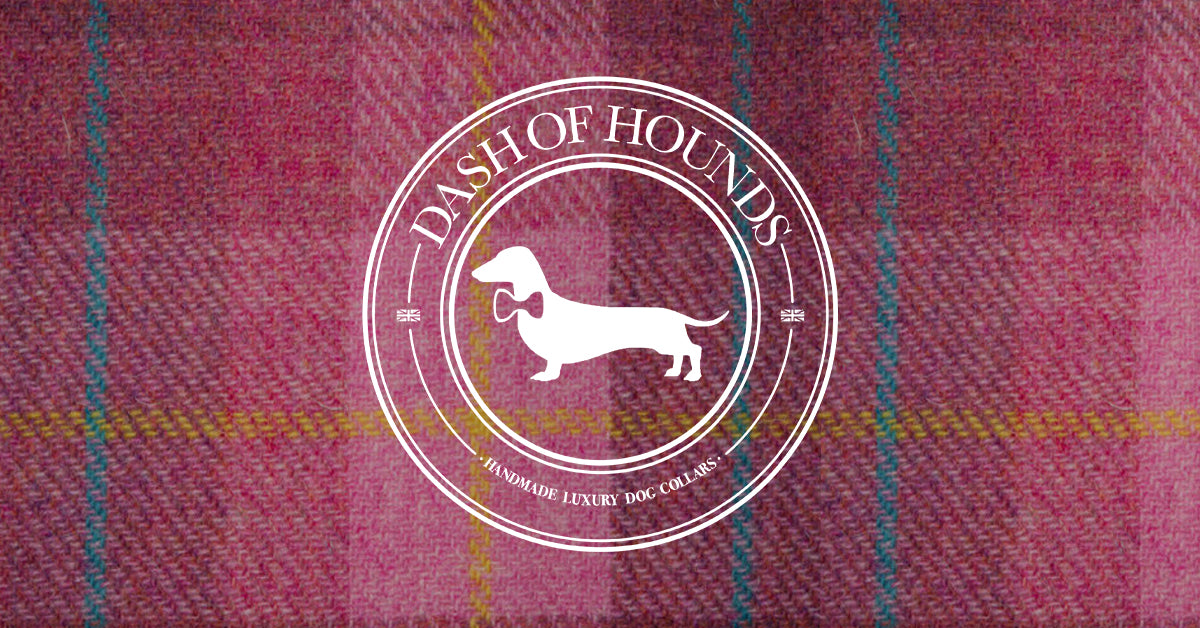 About Us | Dash Of Hounds